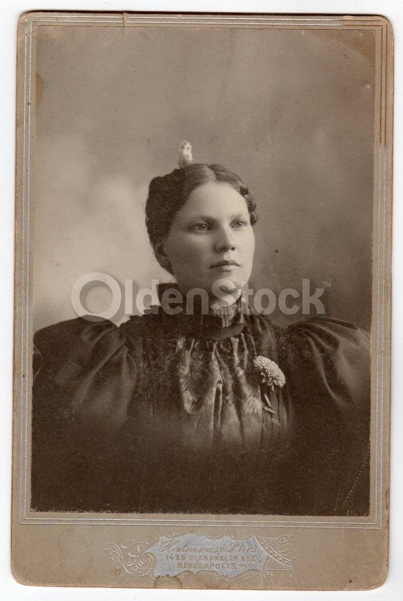 Fine Victorian Woman in Dress Halmrast Photographer Minneapolis Antiqu ...