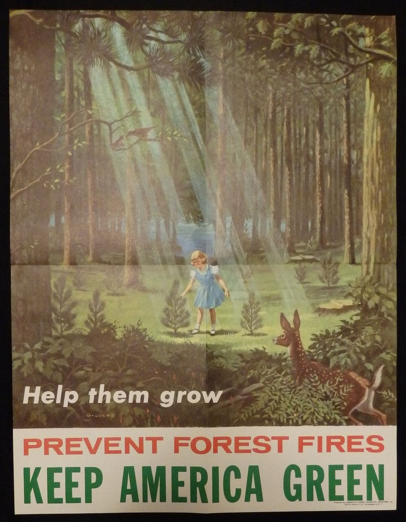 Prevent Forest Fires American Forest Protection Vintage Educational Po ...